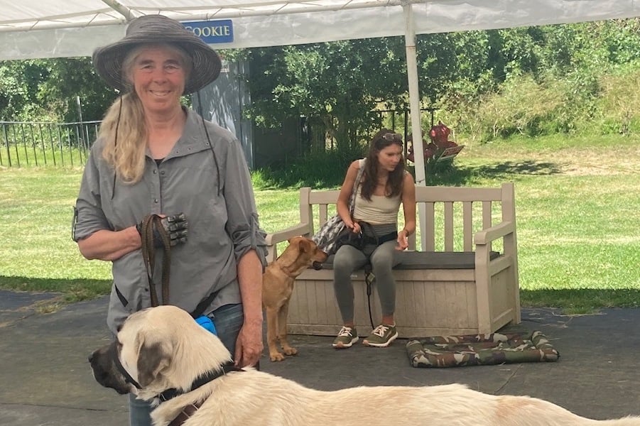 Introduction to Activity-Specific Prostheses