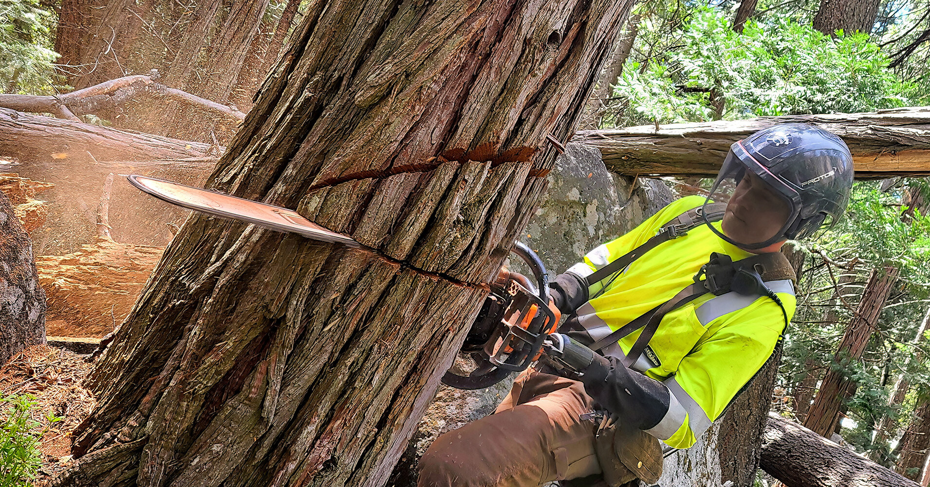 Featured Patient: Austin Anderson